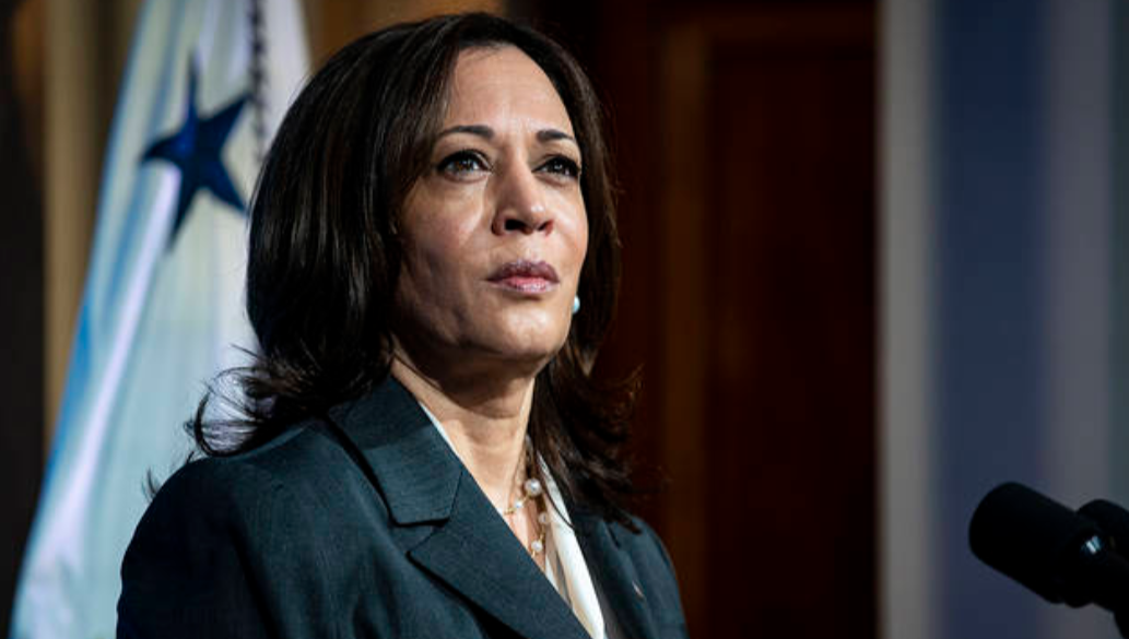 Is Kamala Harris Seriously Trading US Citizenships For Trees Now ...